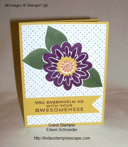 12 Quick -n- Easy Cards using Designer Series Paper! | Linda's Stampin ...