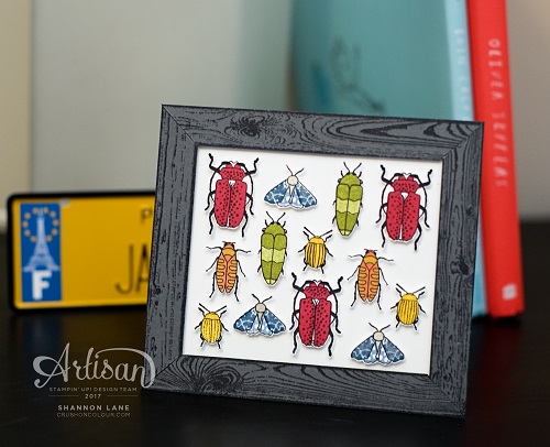 Beetles & Bugs Stamp Set … | Linda's Stampin' Escape