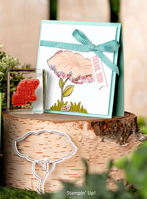 Introducing the NEW Little Ladybug Stamp Set | Linda's Stampin' Escape