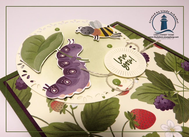 Cute as a Bug… with a Fun Fold Twist! | Linda's Stampin' Escape